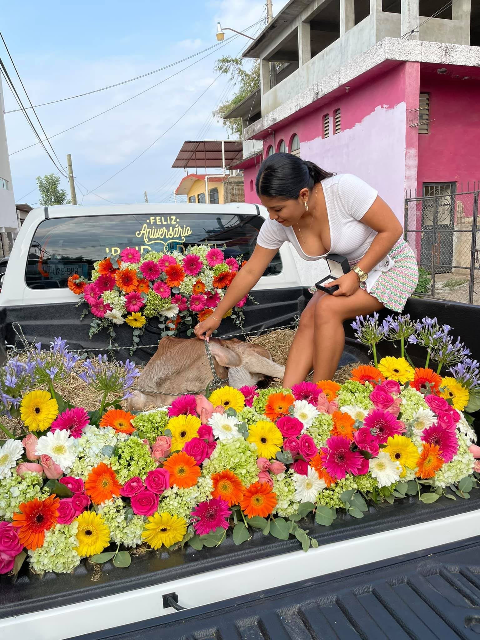 VIRAL: Joven le regala un becerrito a su novia en su primer aniversario y enamora a Internet ...
