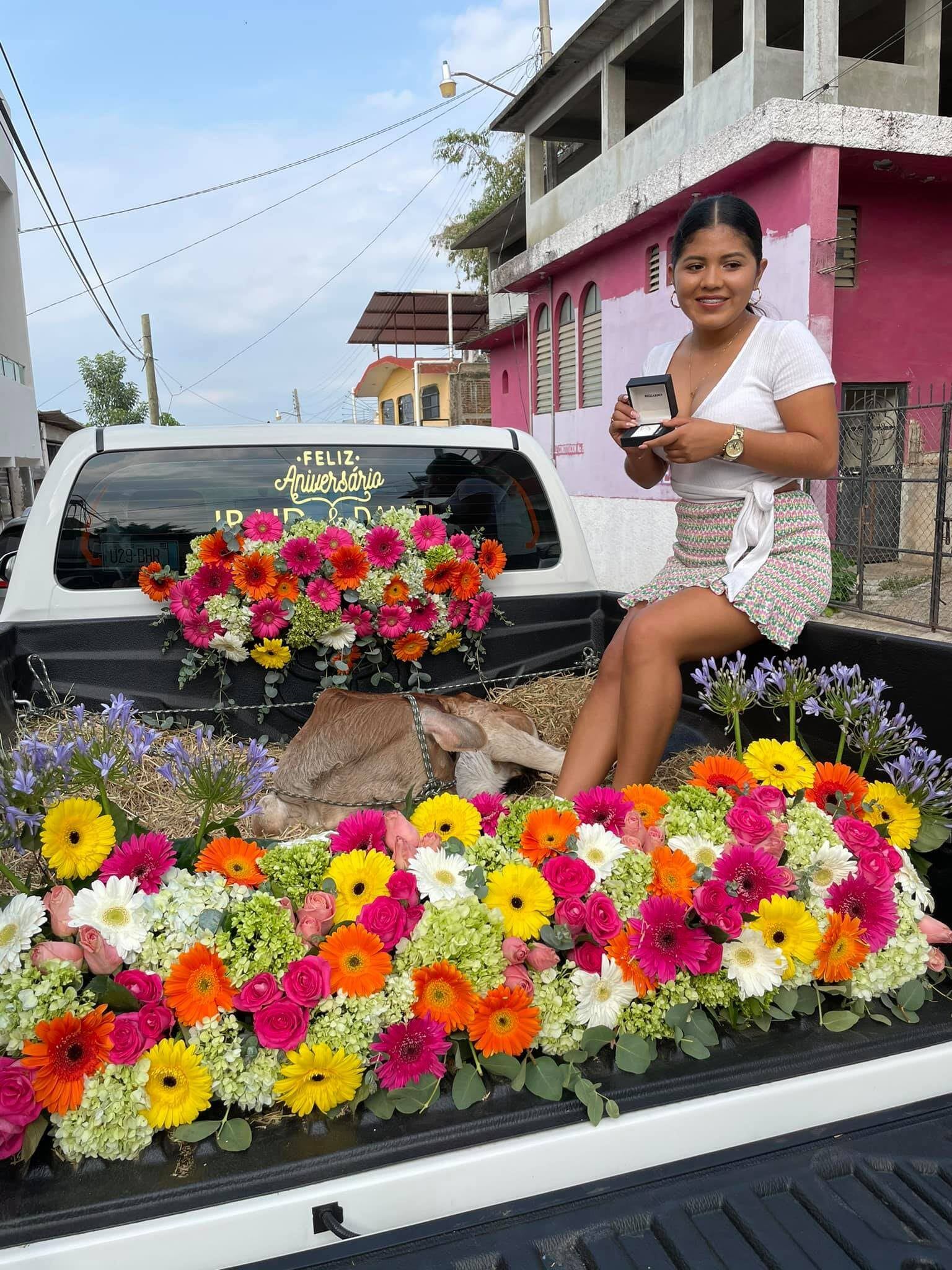 VIRAL: Joven le regala un becerrito a su novia en su primer aniversario ...